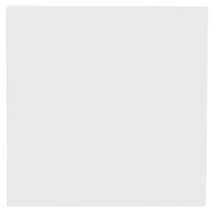 Matte White Rolled Vinyl Flooring — Beyond Tent