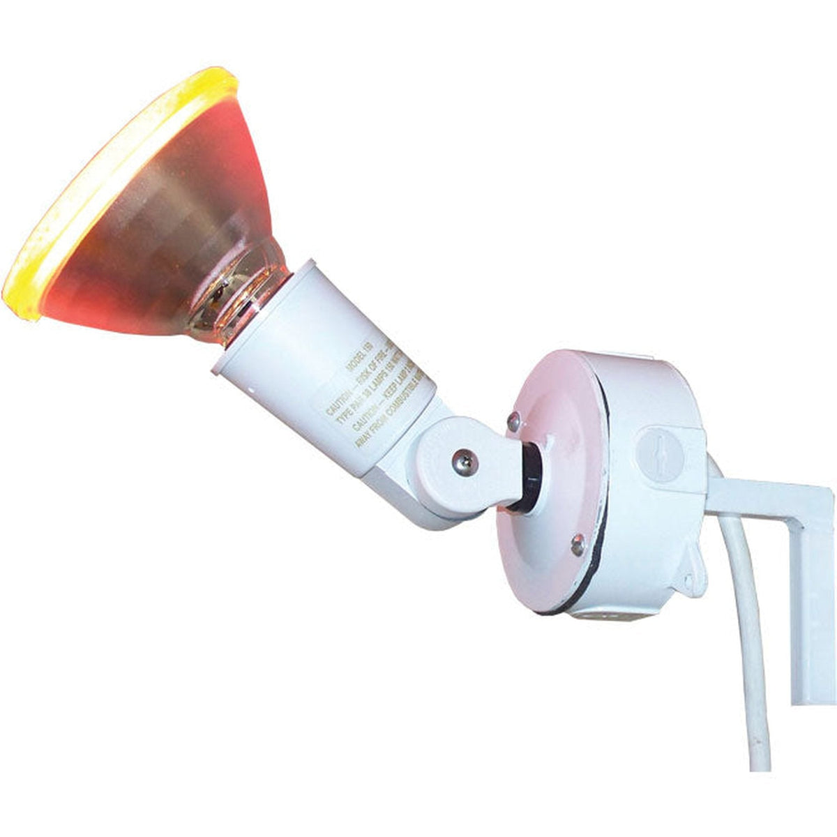 PAR38 Single Flood Lighting — Beyond Tent